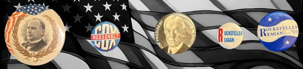 Overview - Matthew Rosenbaum Political Pins